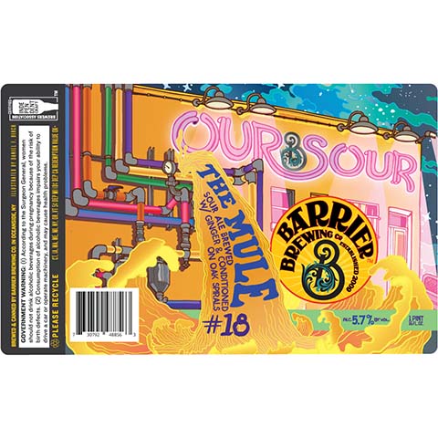Barrier Our Sour The Mule Sour Ale – CraftShack - Buy craft beer online.