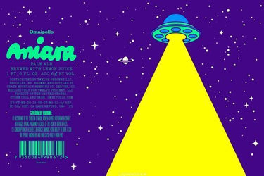Omnipollo Aniara Pale Ale – CraftShack - Buy craft beer online.
