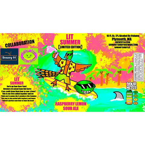 Sour Not Sorry Lit Summer Sour Ale – CraftShack - Buy craft beer online.