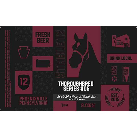 Stable 12 Thoroughbred Series #05 Belgian Strong Ale – CraftShack - Buy ...